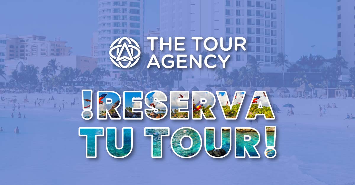 The Tour Agency